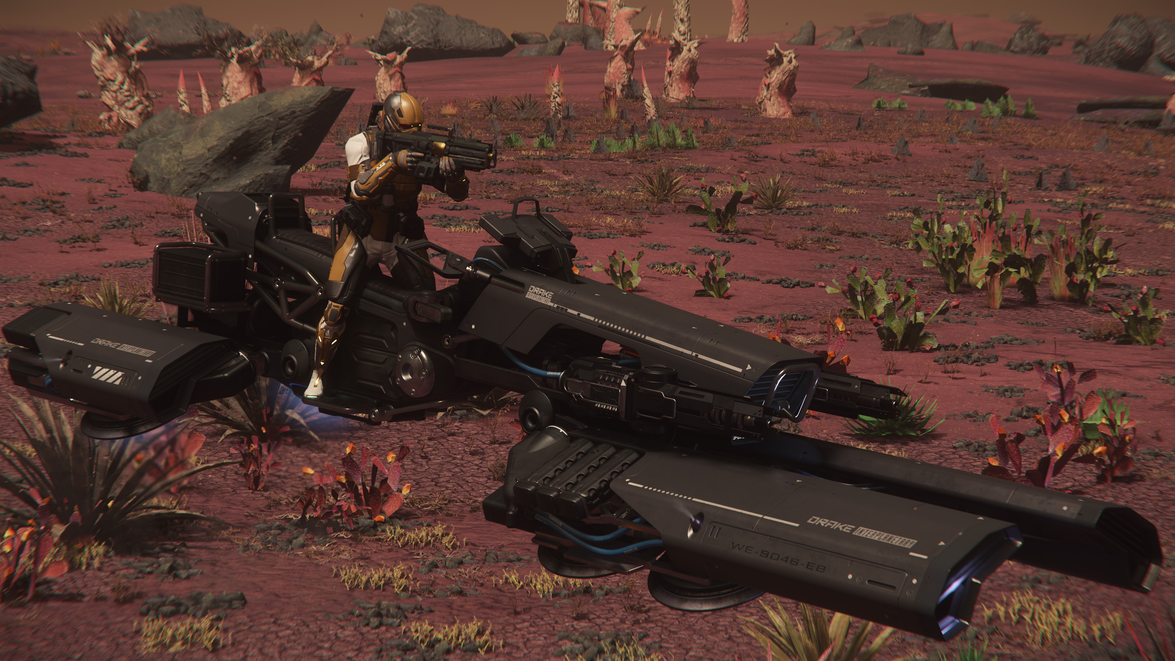 IAE 2954 | Where are you doing my BMM? – Community Hub