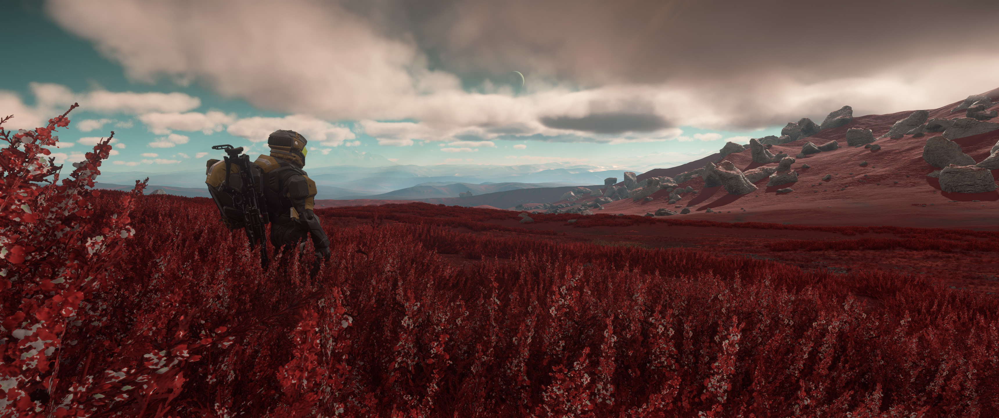 Scarlet Dreams – Community Hub