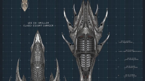Vanduul Identification Chart To Scale – Community Hub