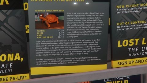 Want to see a tortoise pilot a Sabre? – Community Hub