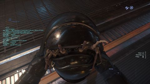 Stone Bug Adoption Center – Community Hub