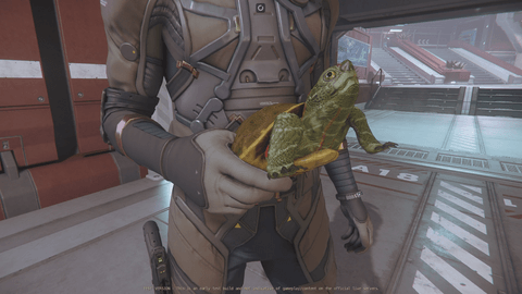 Terrapin rescue – Community Hub